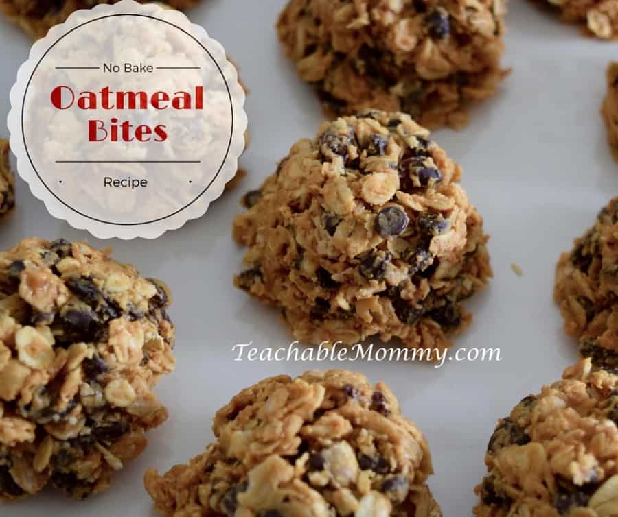 No Bake Oatmeal Bites - With Ashley And Company