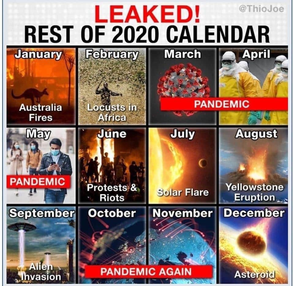 20 of The Best 2020 Holiday Memes