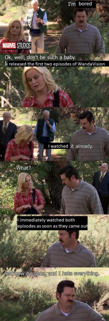 The Best WandaVision Memes