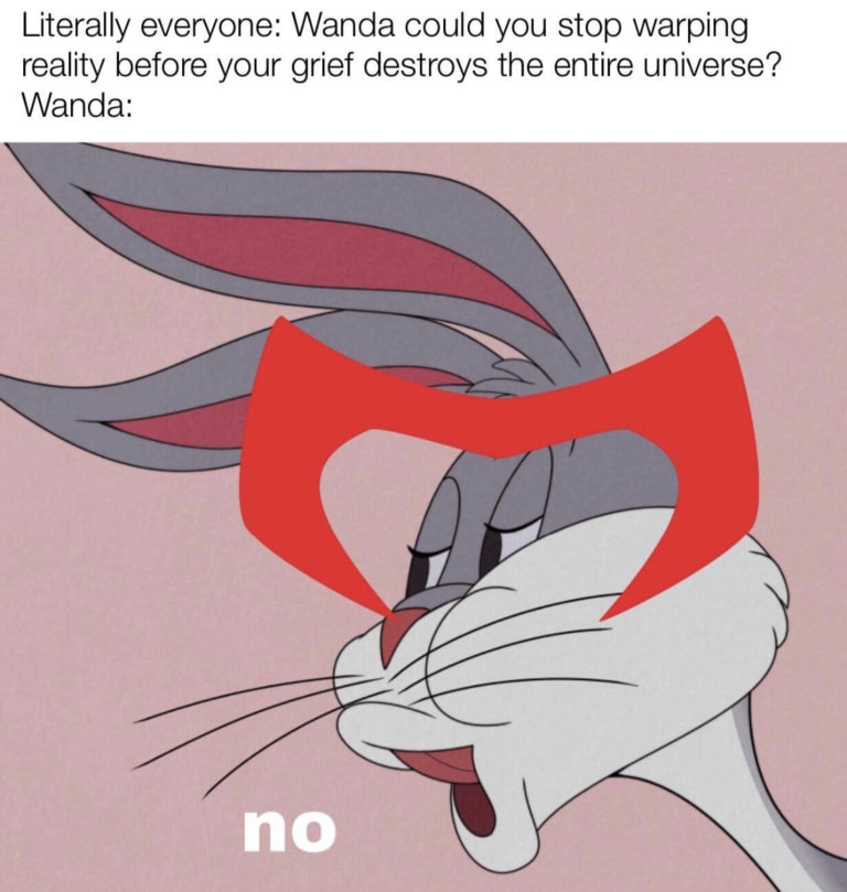 The Best WandaVision Memes