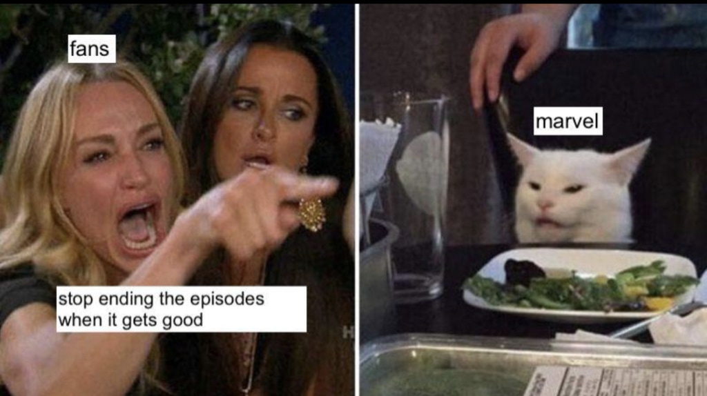 The Best WandaVision Memes