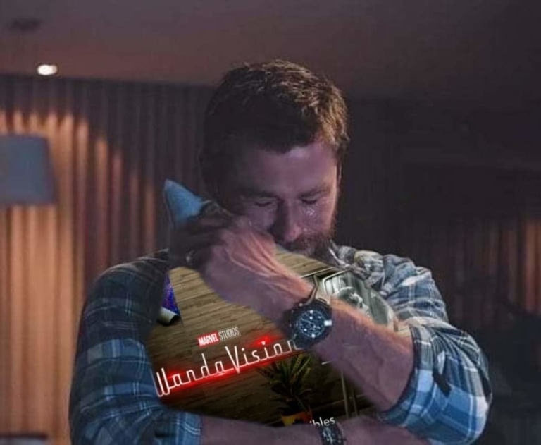 The Best WandaVision Memes