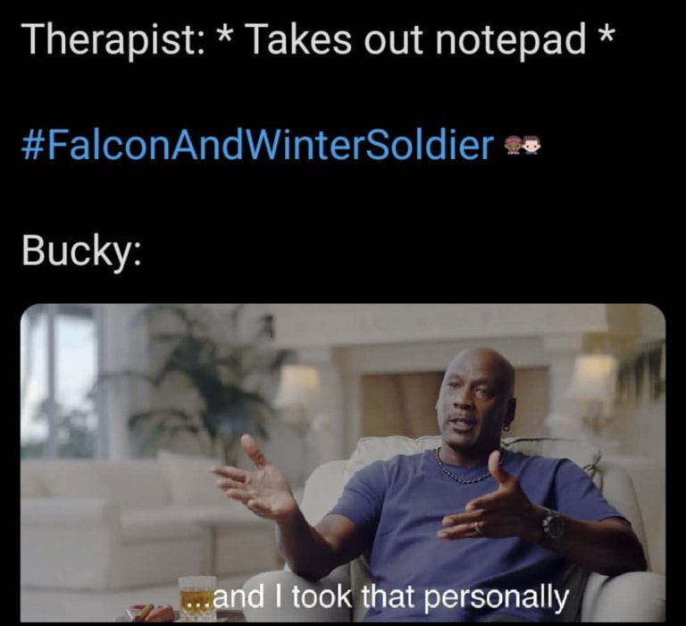 The Best Falcon and Winter Soldier Memes