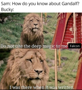 The Best Falcon and Winter Soldier Memes