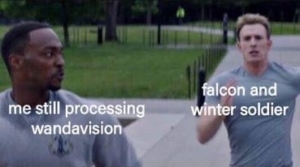 The Best Falcon and Winter Soldier Memes