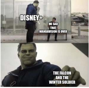 The Best Falcon and Winter Soldier Memes