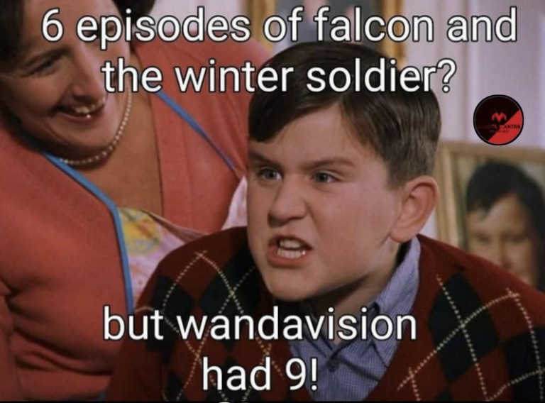 The Best Falcon and Winter Soldier Memes